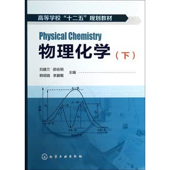 物理化学(下高等学校十二五规划教材)