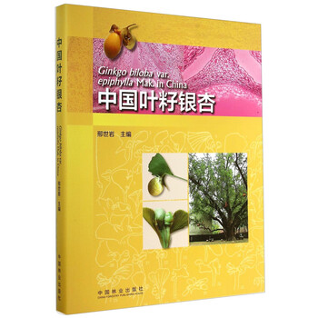 中国叶籽银杏