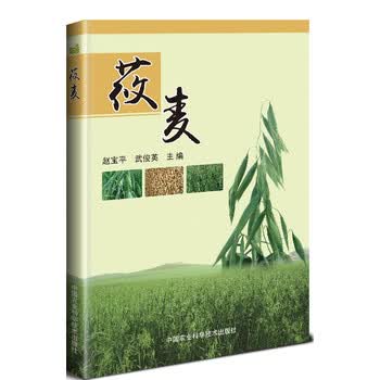 莜麦
