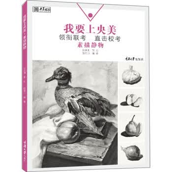 我要上央美.静物素描