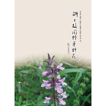 浙大校园野草野花 浙江大学校园植物