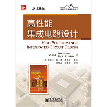 微电子与集成电路丛书：高性能集成电路设计