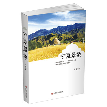 宁夏景象