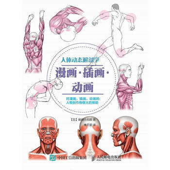 人体动态解剖学-漫画.插画.动画