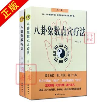 八卦象数疗法+八卦象数点穴疗法 以人体健康为核心的无药自然疗法 李山玉 李健民 著 团结出书籍正版图书