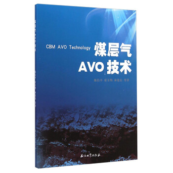 煤层气AVO技术