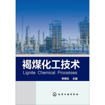 褐煤化工技术
