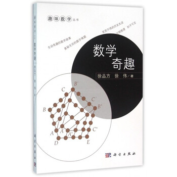 数学奇趣/趣味数学丛书