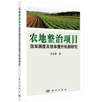 农地整治项目效率测度及效率提升机制研究