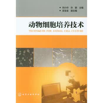 动物细胞培养技术