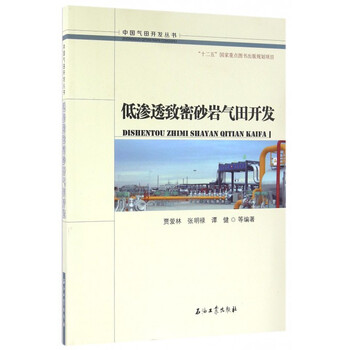 低渗透致密砂岩气田开发/中国气田开发丛书