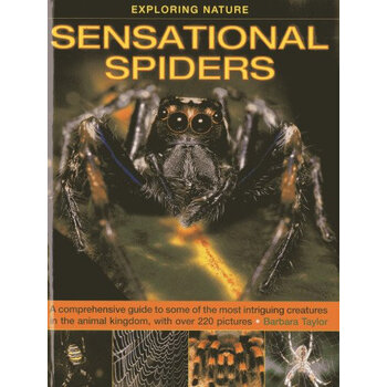 【】Exploring Nature: Sensational Spiders: A