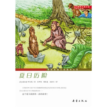 国际大奖小说升级版——夏日历险