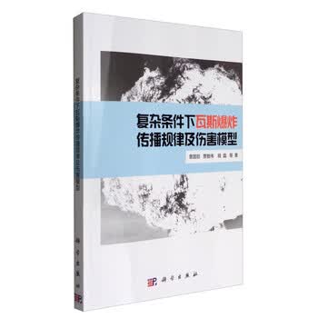 复杂条件下瓦斯爆炸传播规律及伤害模型
