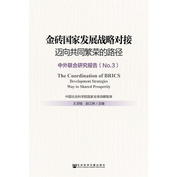 金砖国家发展战略对接：迈向共同繁荣的路径