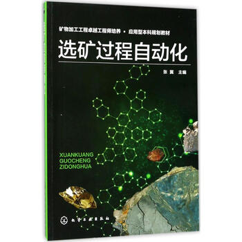 选矿过程自动化