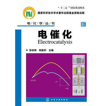 电化学丛书--电催化