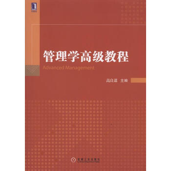 管理学高级教程