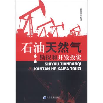 石油天然气勘探和开发投资