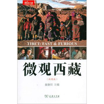 微观西藏(汉英版)