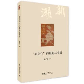 “新文化”的崛起与流播