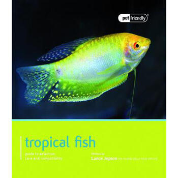 Tropical Fish - Pet Friendly: Pet Friendly -...