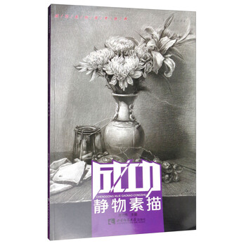 成功系列高考丛书：静物素描
