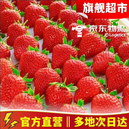 樱鲜JD顺丰多地次日达丹东99牛奶红颜奶油甜草莓新鲜水果年货礼盒装 2盒 优选果【40枚】单果10-18g【图片 价格 品牌 报价】-京东