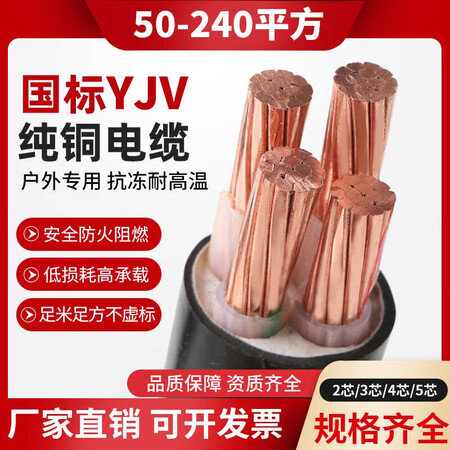 正泰（CHNT）2025新款正标纯铜芯YJV电缆线3 4 5芯50 70 95 120 150 240平方工 支持检YJV3*95+2*50/10米【图片 价格 品牌 报价】-京东