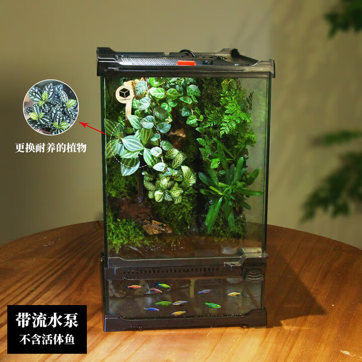 HKML苔藓微景观生态雨林缸造景办公桌面植物盆景免打理生态瓶成品礼物 悬崖瀑布成品【图片 价格 品牌 报价】-京东