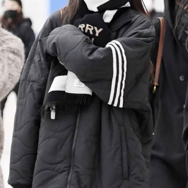 阿迪达斯（adidas）三叶草棉服男士外套25冬季新款保暖棉衣立领防风休闲运动服棉袄 HR8696 L【图片 价格 品牌 报价】-京东