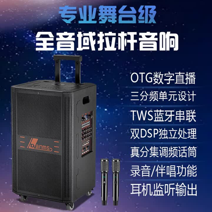丹唛仕丹唛仕9112，9115专业舞台级大功率蓝牙带直播乐器重低音木制箱体音响 黑色 H-9115A 配T29点歌机+豪华大礼包【图片 价格 ...