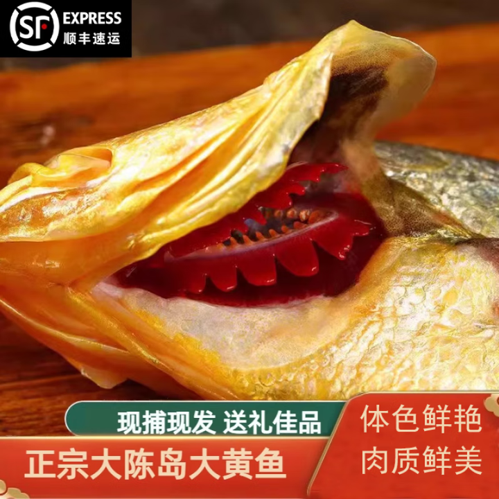 正宗大陈岛大黄鱼东海半野生黄花鱼新鲜冰鲜深海台州礼盒海鲜水产 7条装 900-1000g/只【图片 价格 品牌 报价】-京东