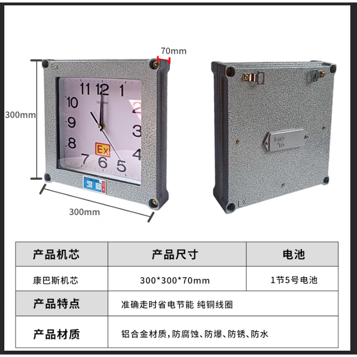 天鹤防爆钟表挂钟石英钟电子钟BSZ-2010电子石英钟医药化工钟矿 300 *300*70康巴斯机芯方形【图片 价格 品牌 报价】-京东