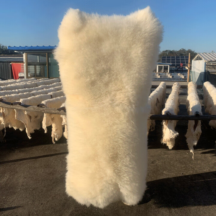 羊皮褥子纯羊皮褥子皮毛一体学生宿舍单双人羊毛床垫加厚真皮羊毡 经典绵羊皮 单人加布面80*180cm【图片 价格 品牌 报价】-京东