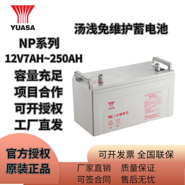 YUASA蓄电池12V18/24/38/65/100/120AH机房UPS EPS电源储能铅酸免维护 12V12AH【图片 价格 品牌 报价】-京东
