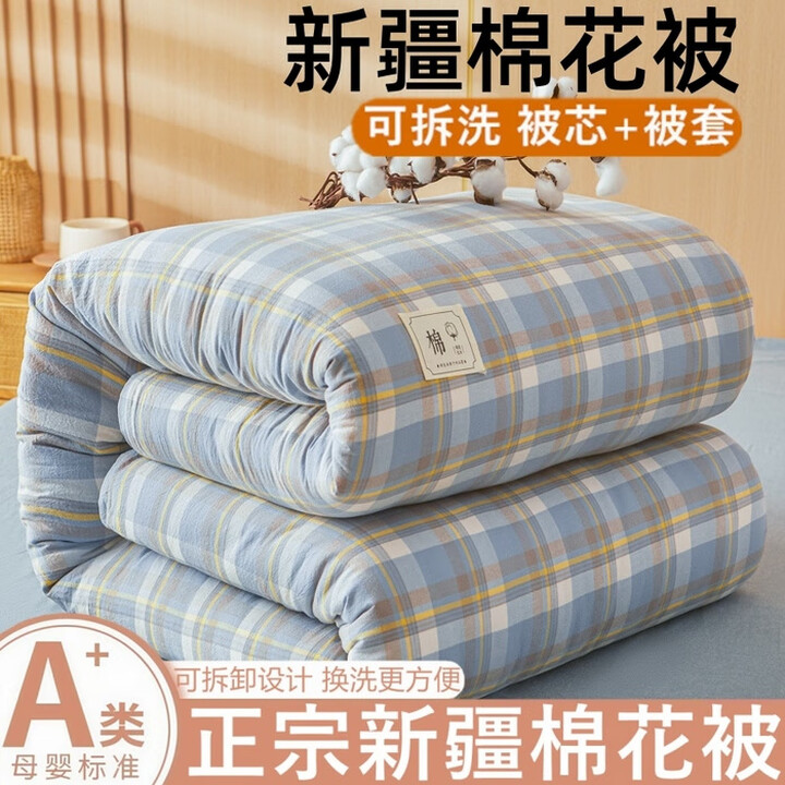 胖东来同款冬季珊瑚绒被套新疆棉花被子被芯春秋被加厚棉被学生可 【可拆洗被套+新疆棉花被芯】.升级母婴级-简兮蓝 加厚冬被【约重10斤适合室温0 ...