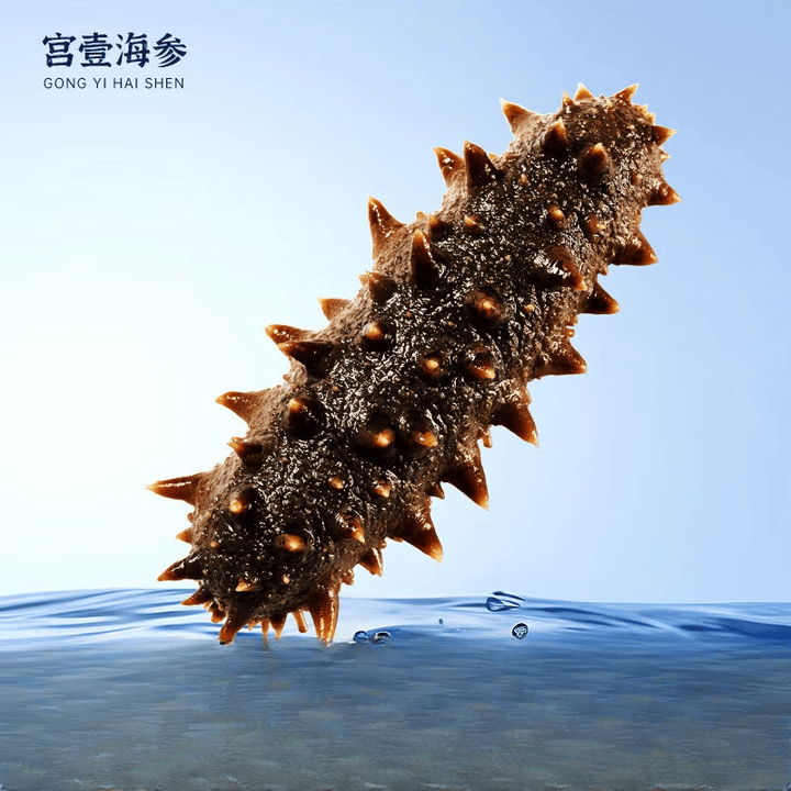 宫壹大连即食海参1斤5-8只固形物超80鲜活海参加工免泡发SN4612 甄选参王500g6-9只【图片 价格 品牌 报价】-京东