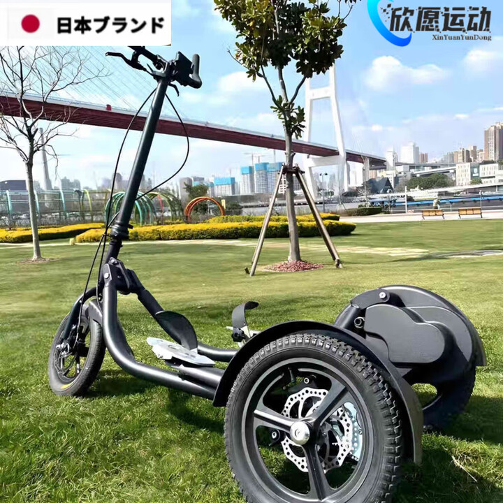 OEMG日本进口品质罗佳健身踏步自行车罗佳踏步自行车可折叠直立自行车 经典黑【图片 价格 品牌 报价】-京东