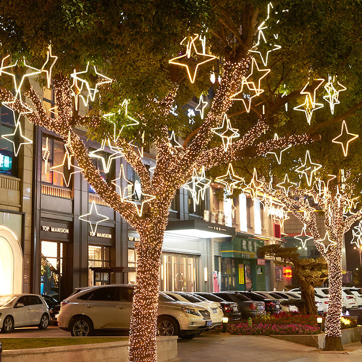 led彩灯闪灯串灯户外防水满天星灯树木亮化灯景观氛围挂件装饰灯 北极星白色 挂树灯【图片 价格 品牌 报价】-京东