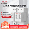 德力西电气浪涌保护器 家用220V防雷保护器DZ47sY电源电涌避雷器防雷模块 2P 40KA 385V II类【图片 价格 品牌 报价】-京东