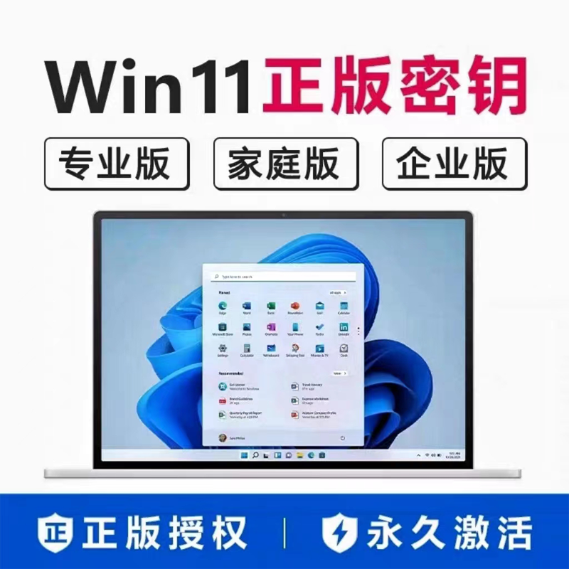 朕品尚windows10专业版激活码win10教育企业版系统w11家庭中文正版密钥 win11专业版【图片 价格 品牌 报价】-京东