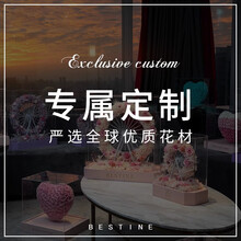 BESTINE柏治廷旗舰店 - 京东